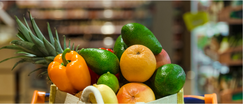 Direto da horta - produtos organicos